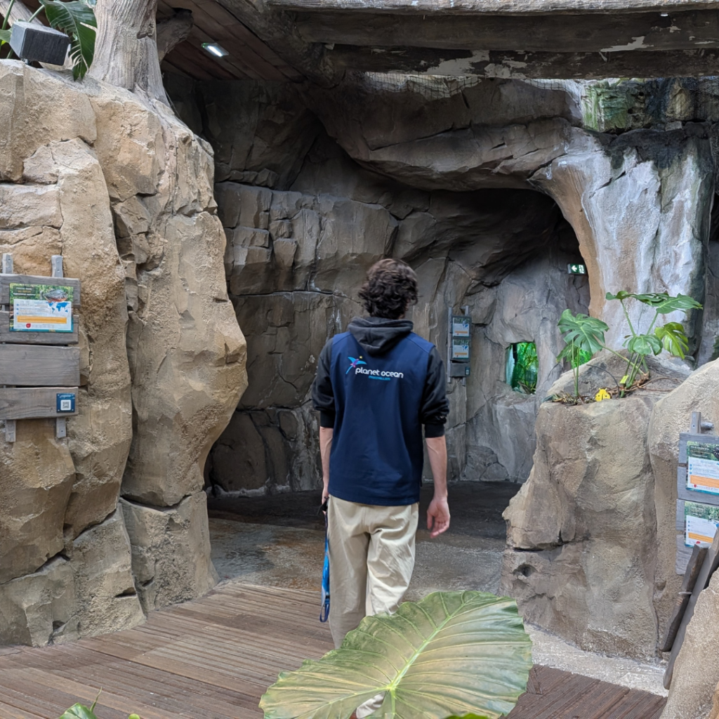 Les pouvoirs extraordinaires de la Planète Bleue ! - Planet Ocean